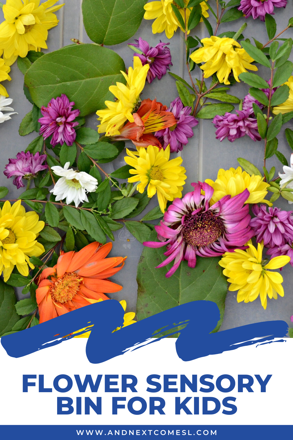 Flower Gross Motor Activities For Preschoolers at Daryl Hudson blog