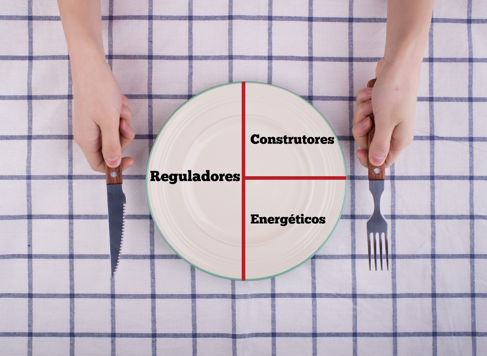 Alimentação equilibrada | Naturebices da Elen