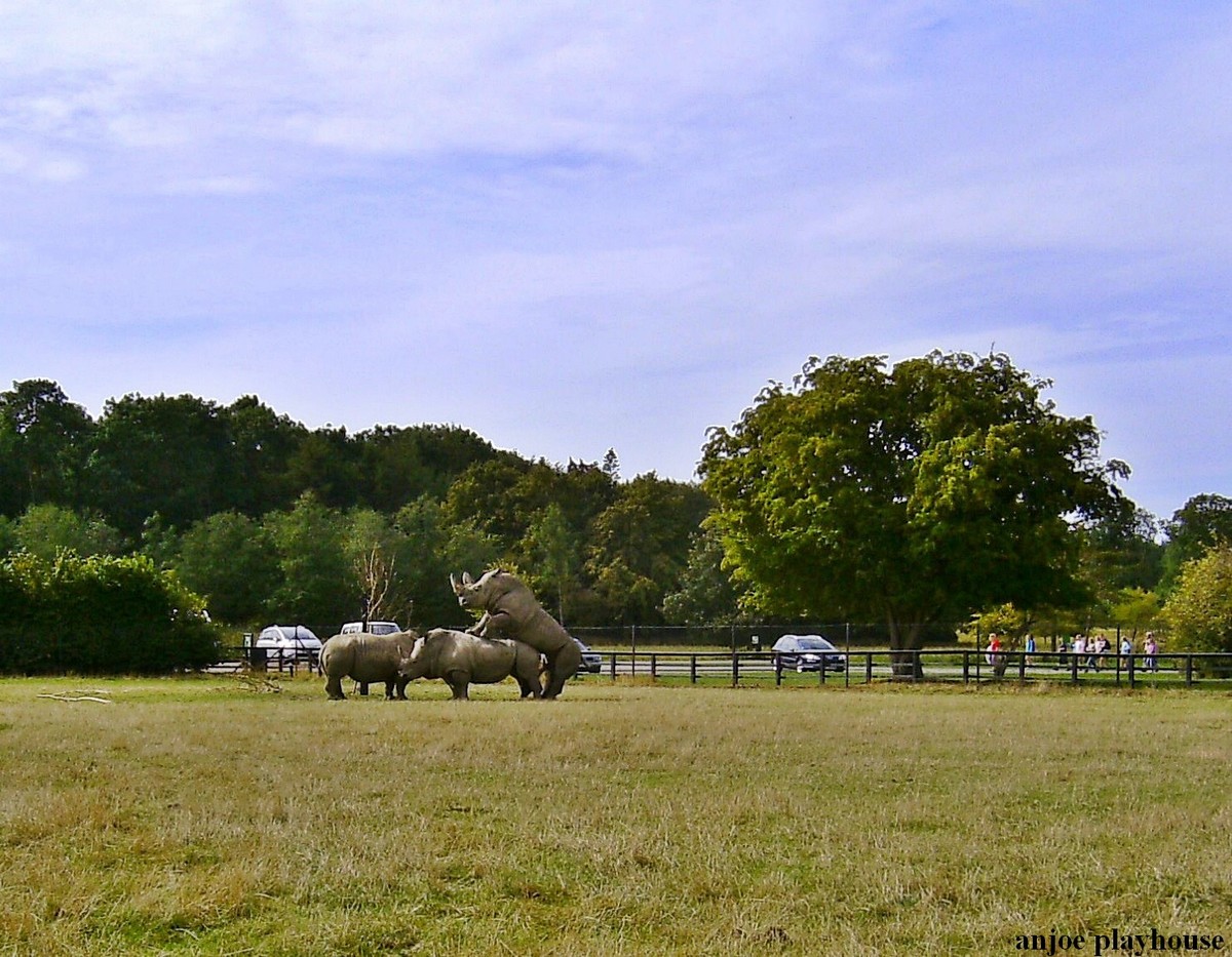 LOLLAND FOTOS: KNUTHENBORG SAFARIPARK