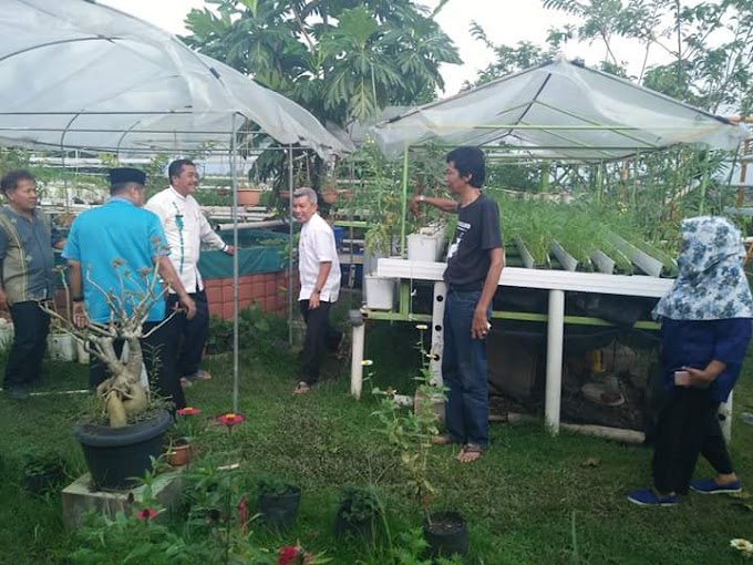 Padang Bakal Miliki Pusat Agrowisata Pertama di Indonesia Padang Bakal Miliki Pusat Agrowisata Pertama di Indonesia