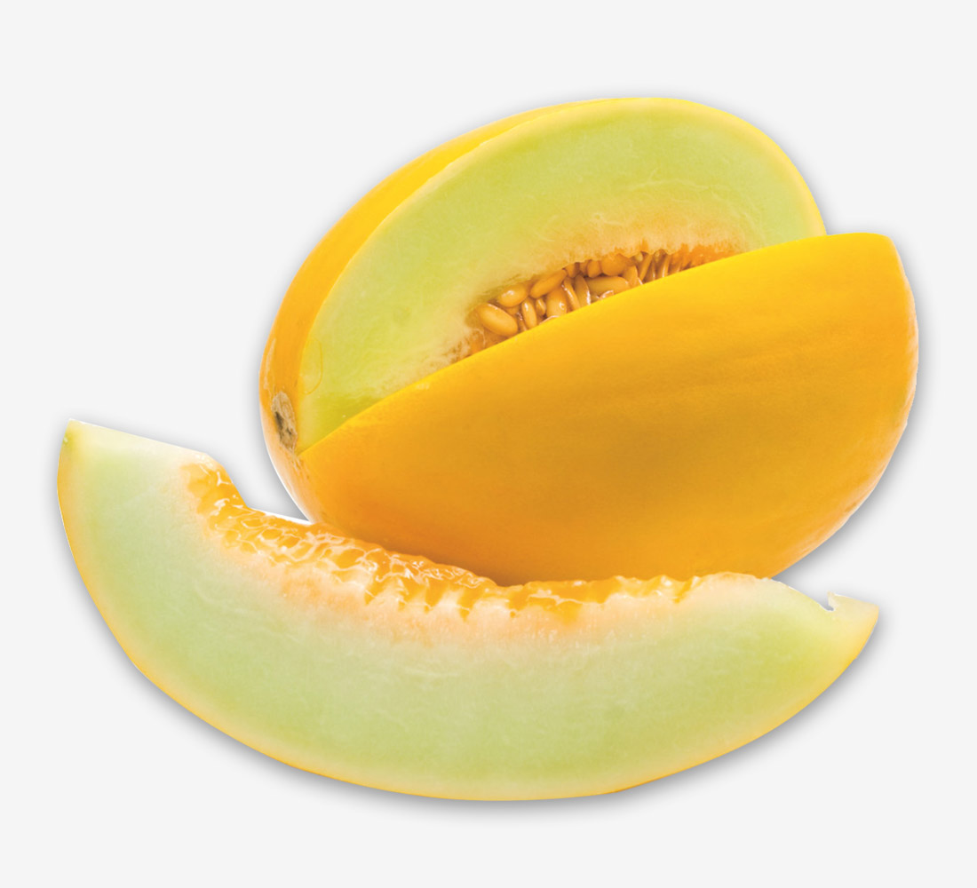 Melão | Melon