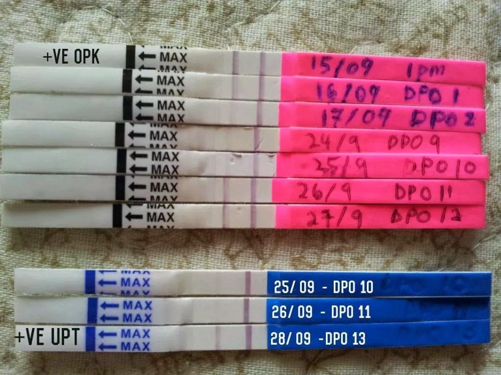 PREGNANCY TEST (UPT) | Ovulation test kit (opk) & Pregnancy test (upt ...