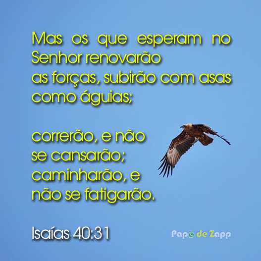 Os Que Confiam No Senhor Renovarão As Forças Frases Mensagens E
