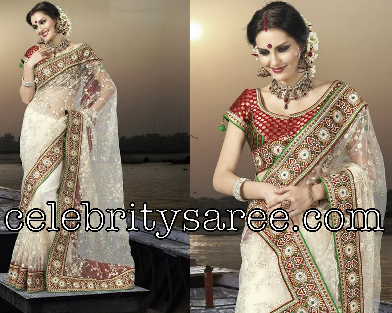 Patch Work Saree with Gorgeous Blouse - Saree Blouse Patterns