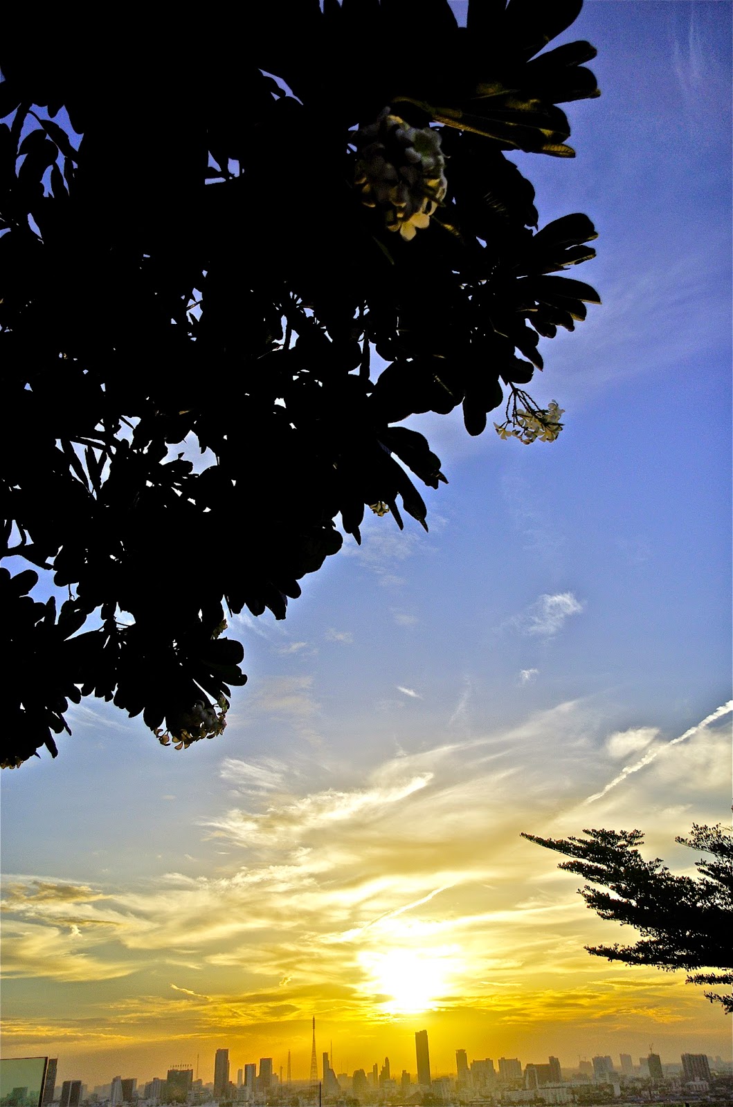 Chrismate: Sunset time at rooftop garden