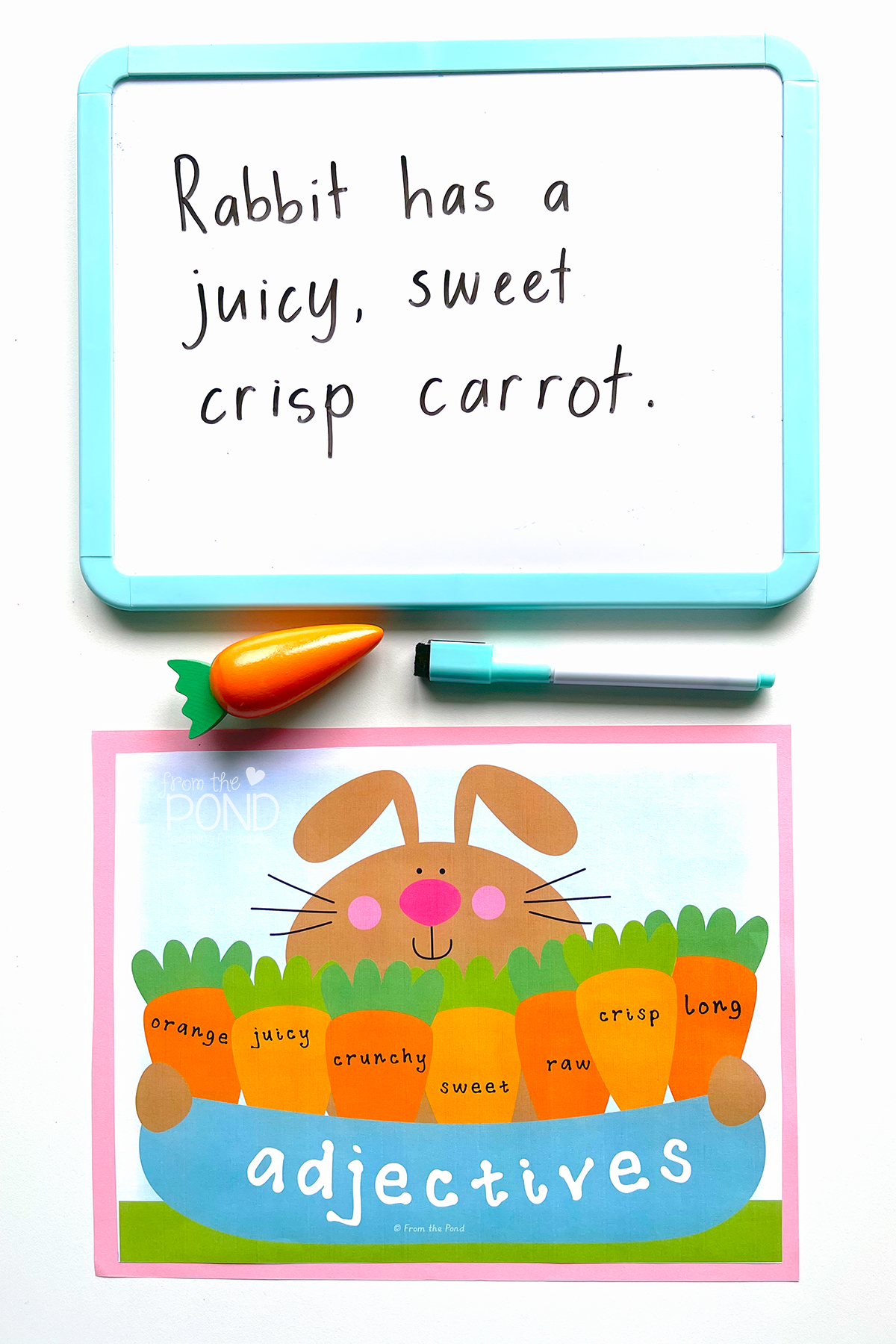 Adjective Mini Lessons | From the Pond