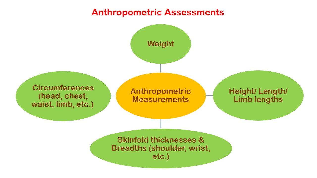The Family physician : Anthropometric assessments