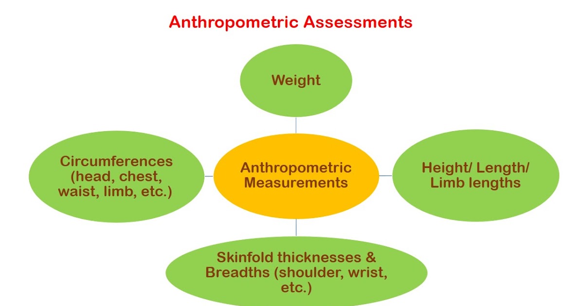 The Family physician : Anthropometric assessments