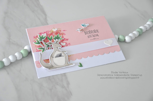 Hello Diy: Cartes naissance, BOY OR GIRL