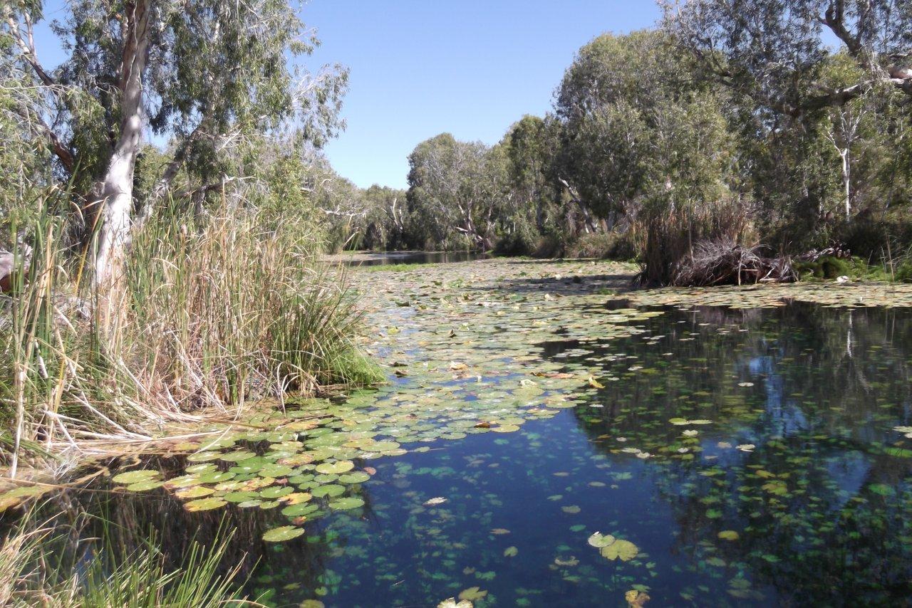 Our Big Aussie Road Trip: Millstream Chichester National Park ...