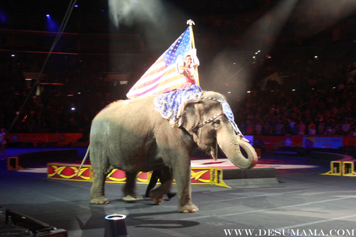 Ringling Brother's Barnum & Bailey Circus in Southern California