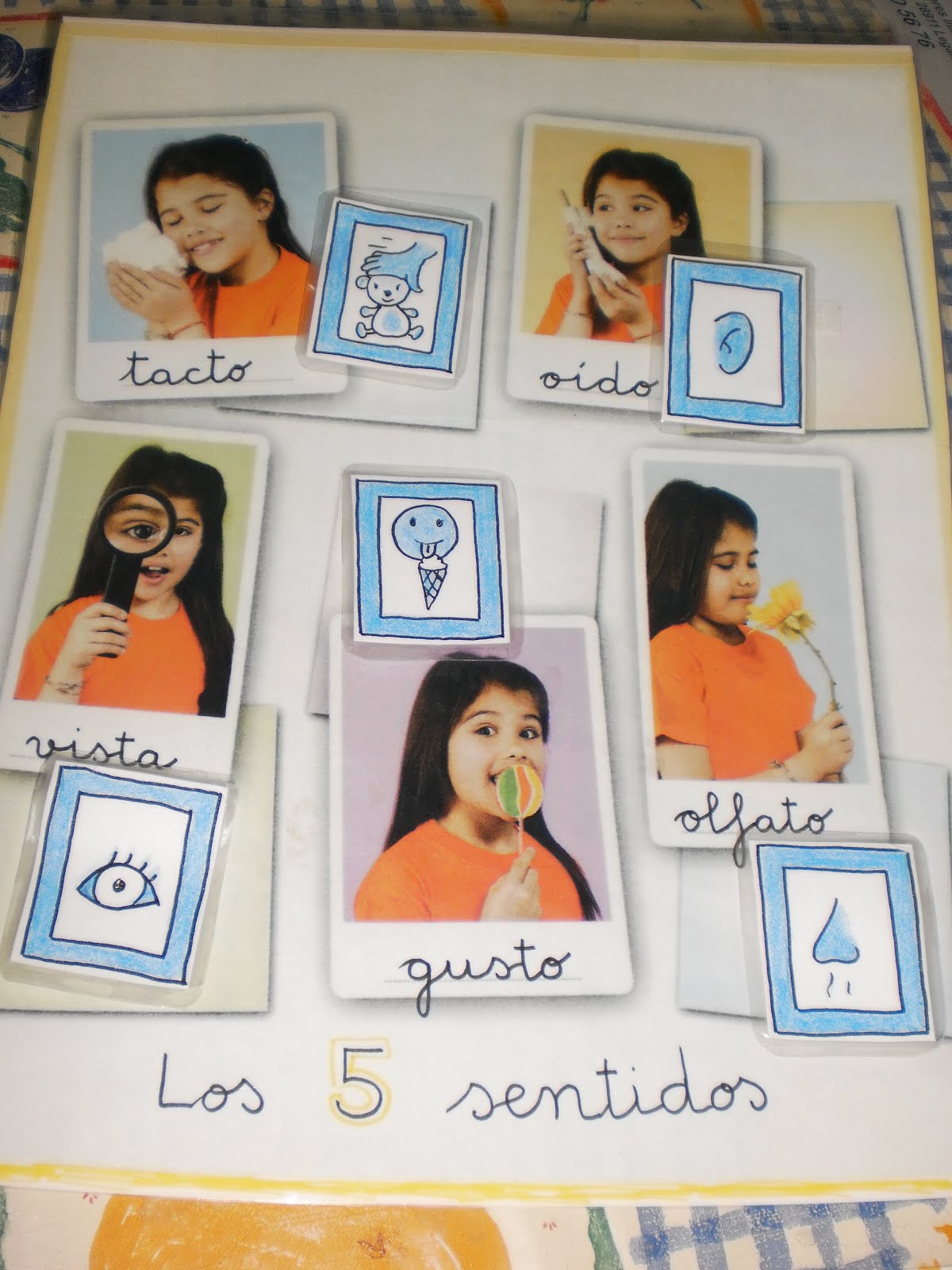 EL LAPIZ: Frases con Los 5 Sentidos