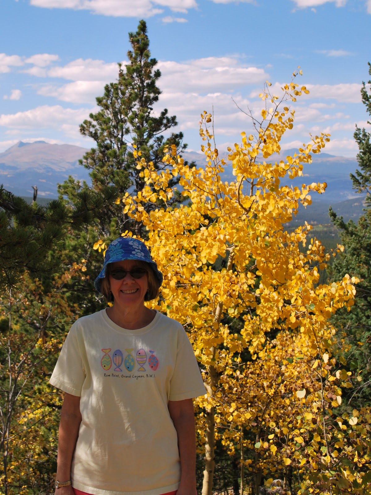 Bizee Bee Creations ~ My Jewelry-Crafting Journal