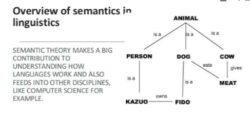 What is Semantic Structure in Linguistics? - Masters in English ...