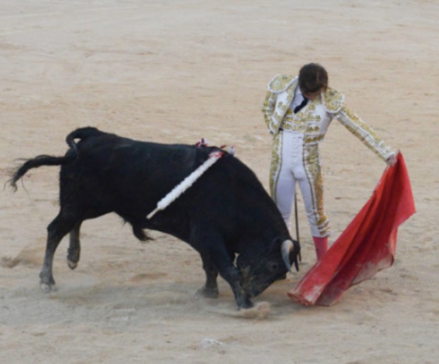 feriataurina.es: EL VERDUGUILLO DEJA EN VUELTA AL RUEDO A VÍCTOR ACEBO ...