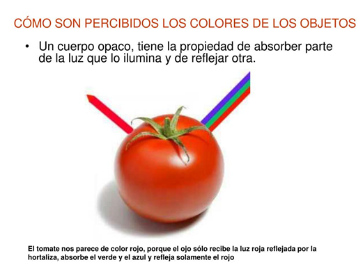 Navegando 6: Percepción del color