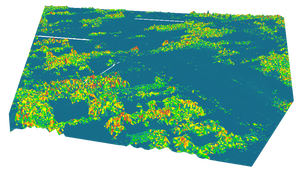 Geographic Information Systems: DEM, DSM, DTM Differences