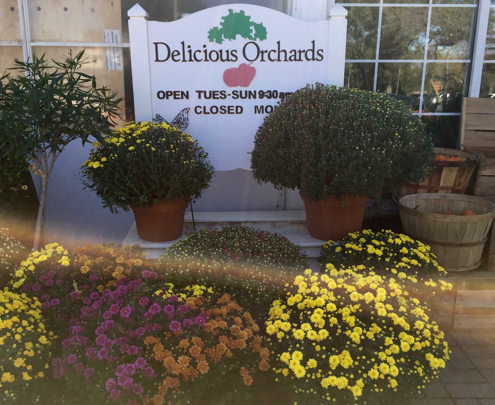 It's All About Purple: Delicious Orchard