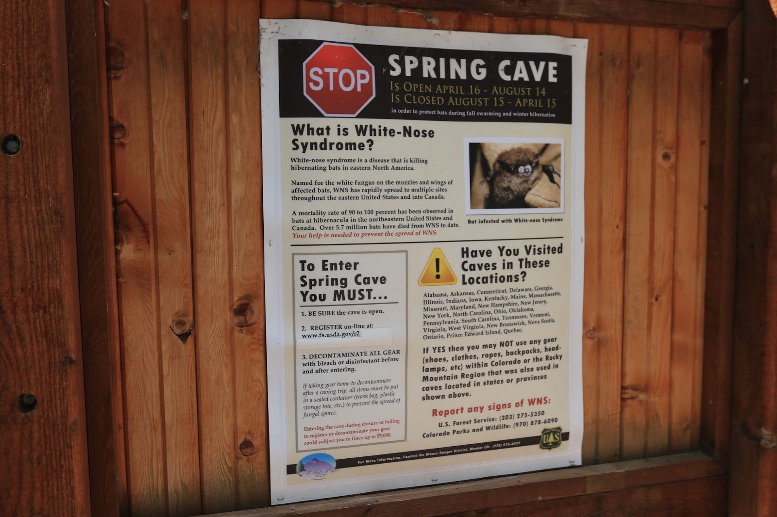 gjhikes.com: Spring Cave