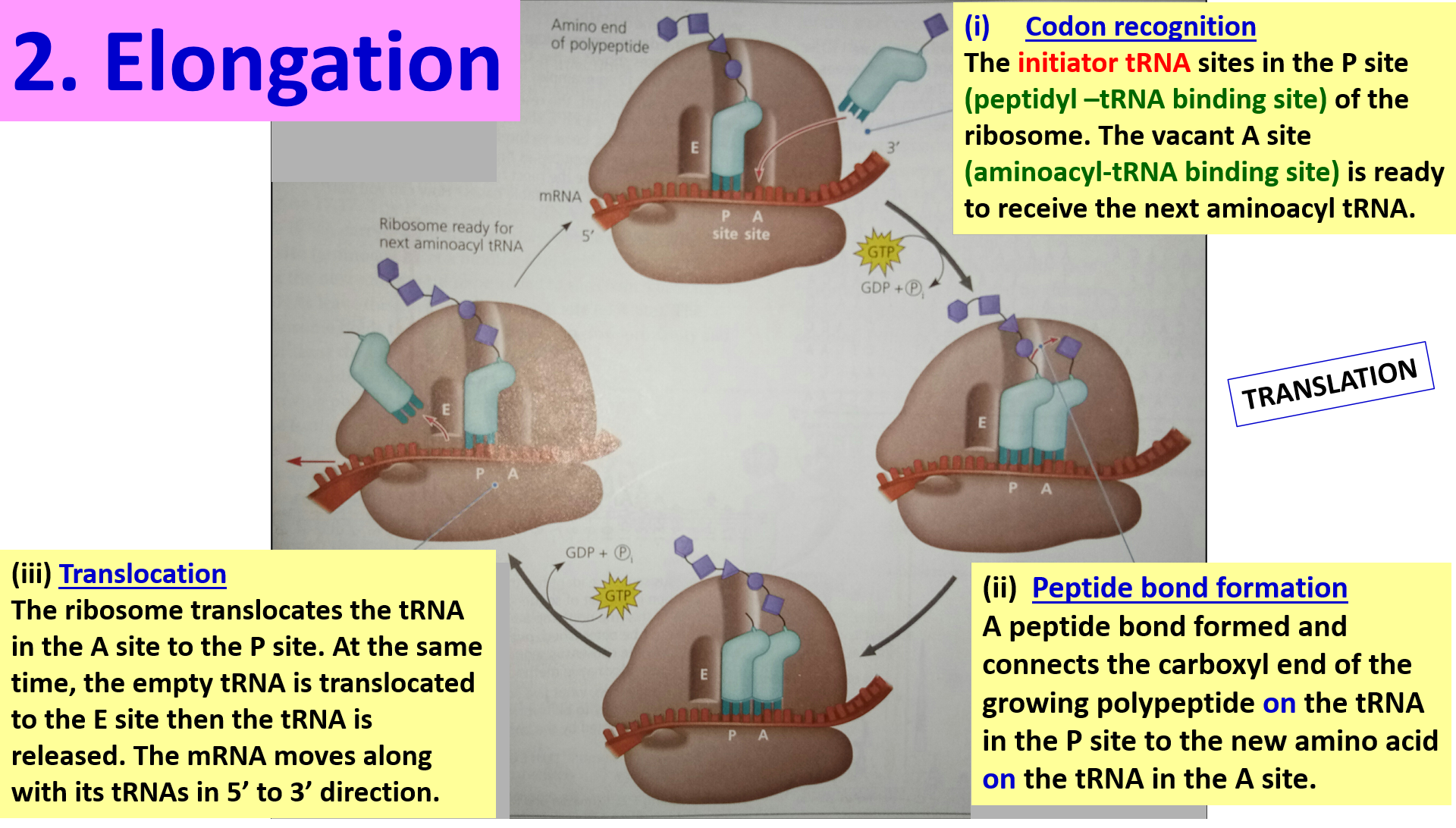 BIOLOGY is to serve mankind...: 1.5 EXPRESSION OF BIOLOGICAL INFORMATION