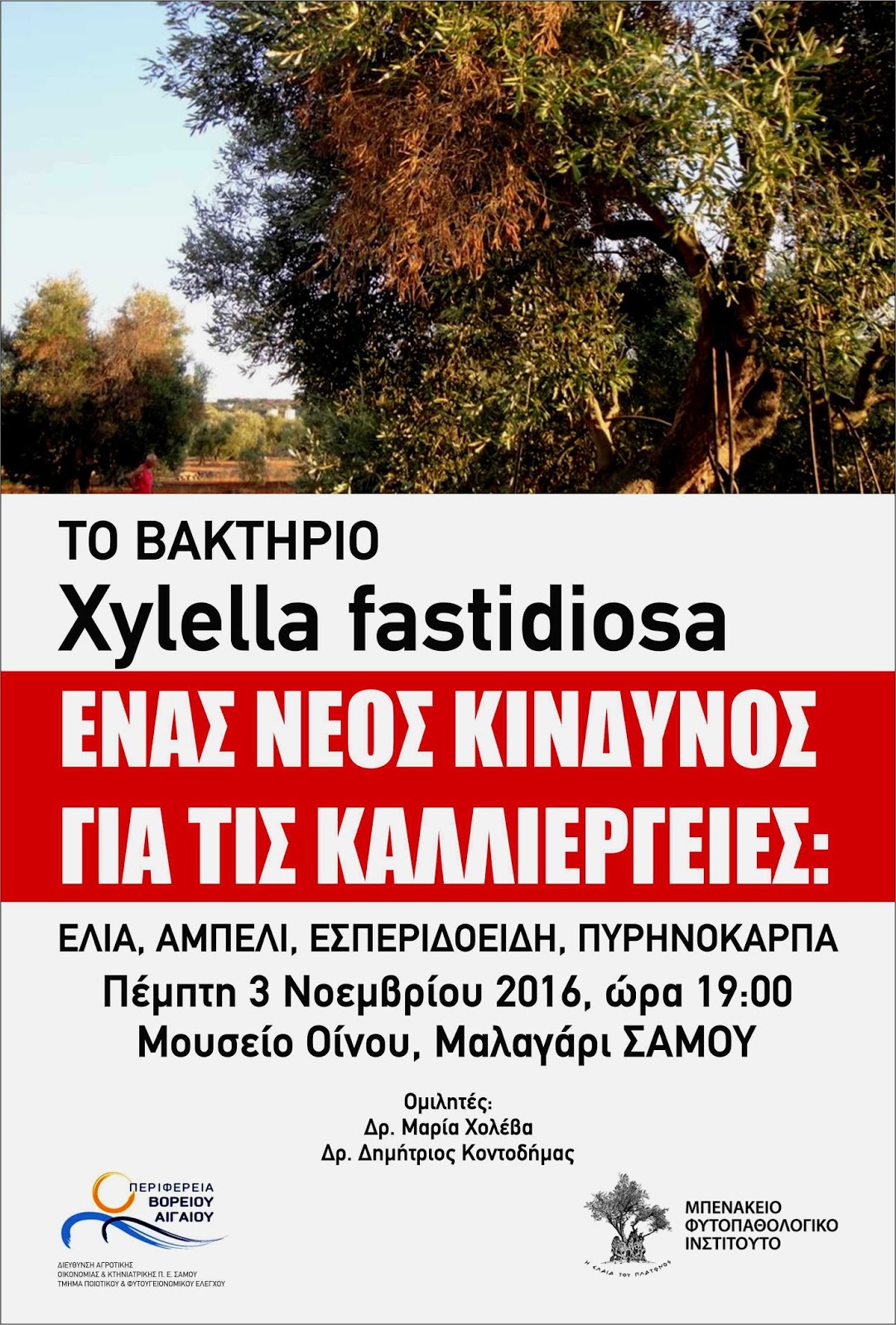EFPALINOS: Κίνδυνος για τη Σάμο, το βακτήριο Xylella fastidiosa