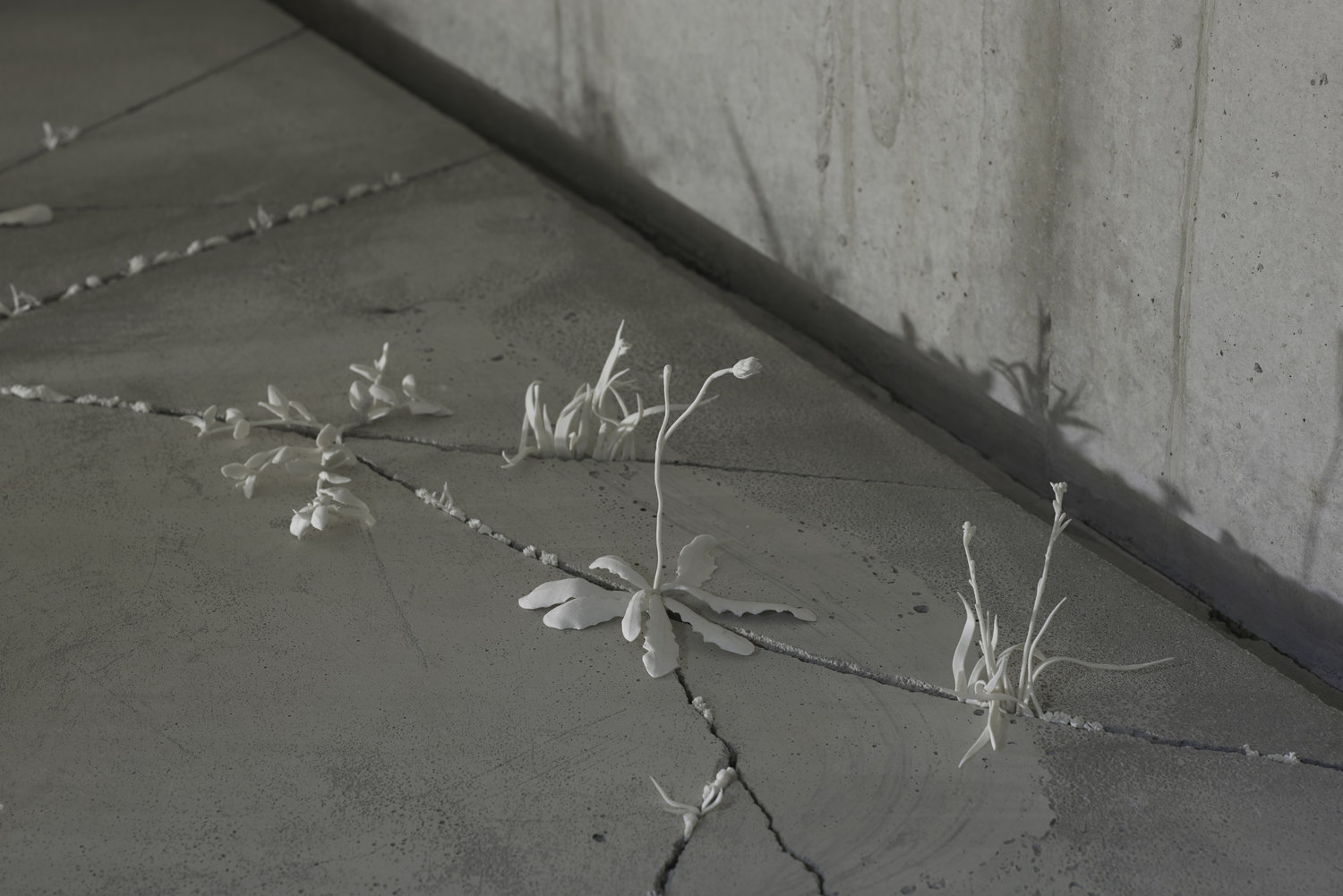 Murmure Visible: Katie Spragg