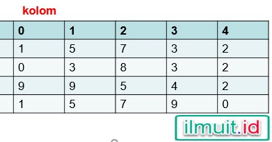 13 Contoh Array 2 Dimensi