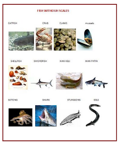 Khasiat Minyak Zaitun Palestine