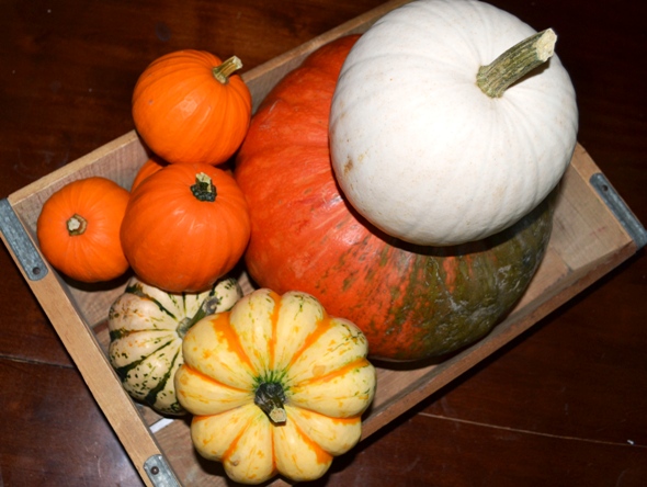 so the cook said: Kid-Friendly Pumpkins around my House