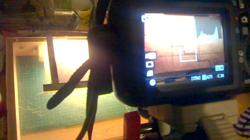 A animated world: Drawn animation /peg bar