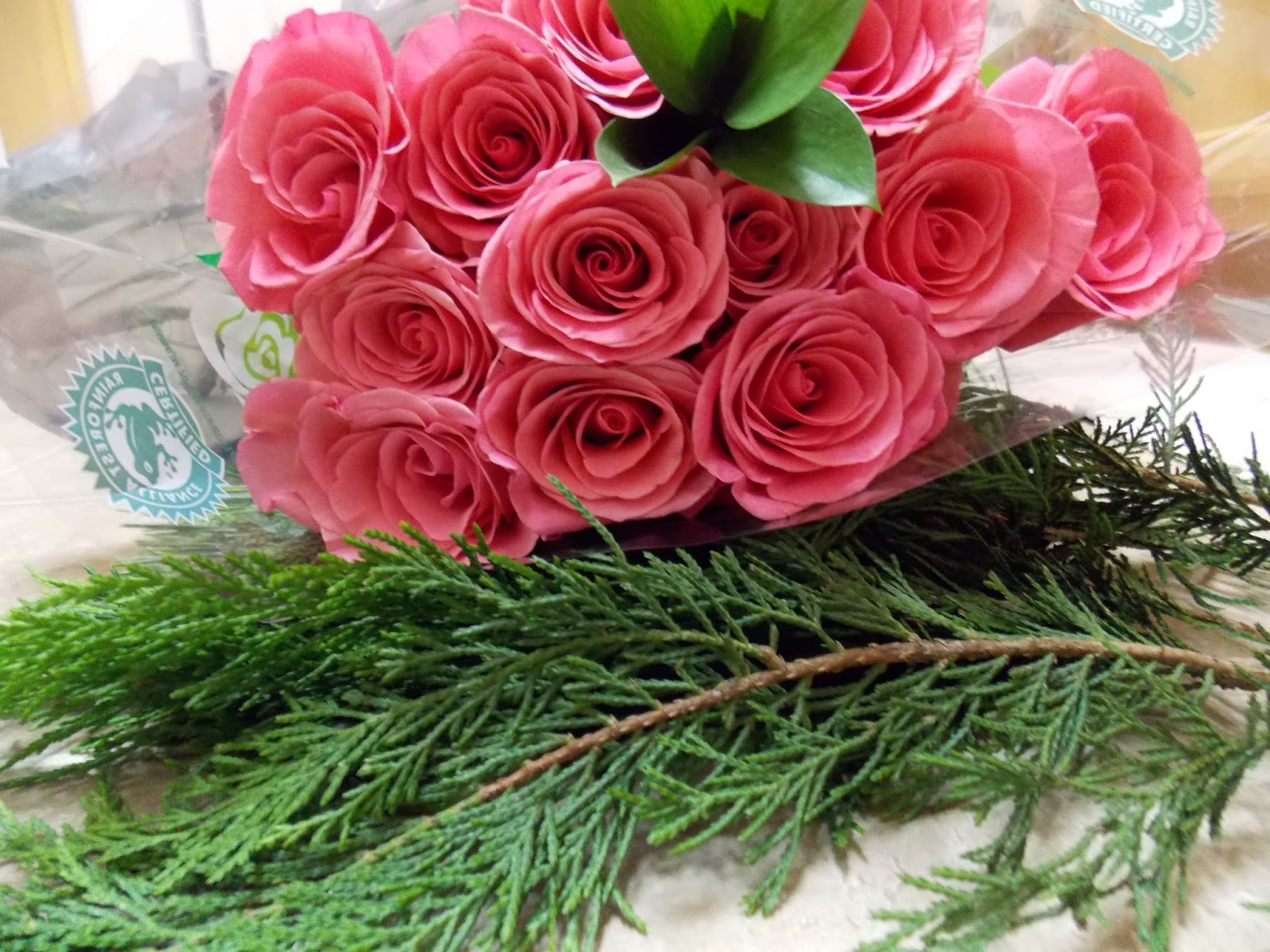 Life Between Potato and Rice: Pink Roses For Christmas