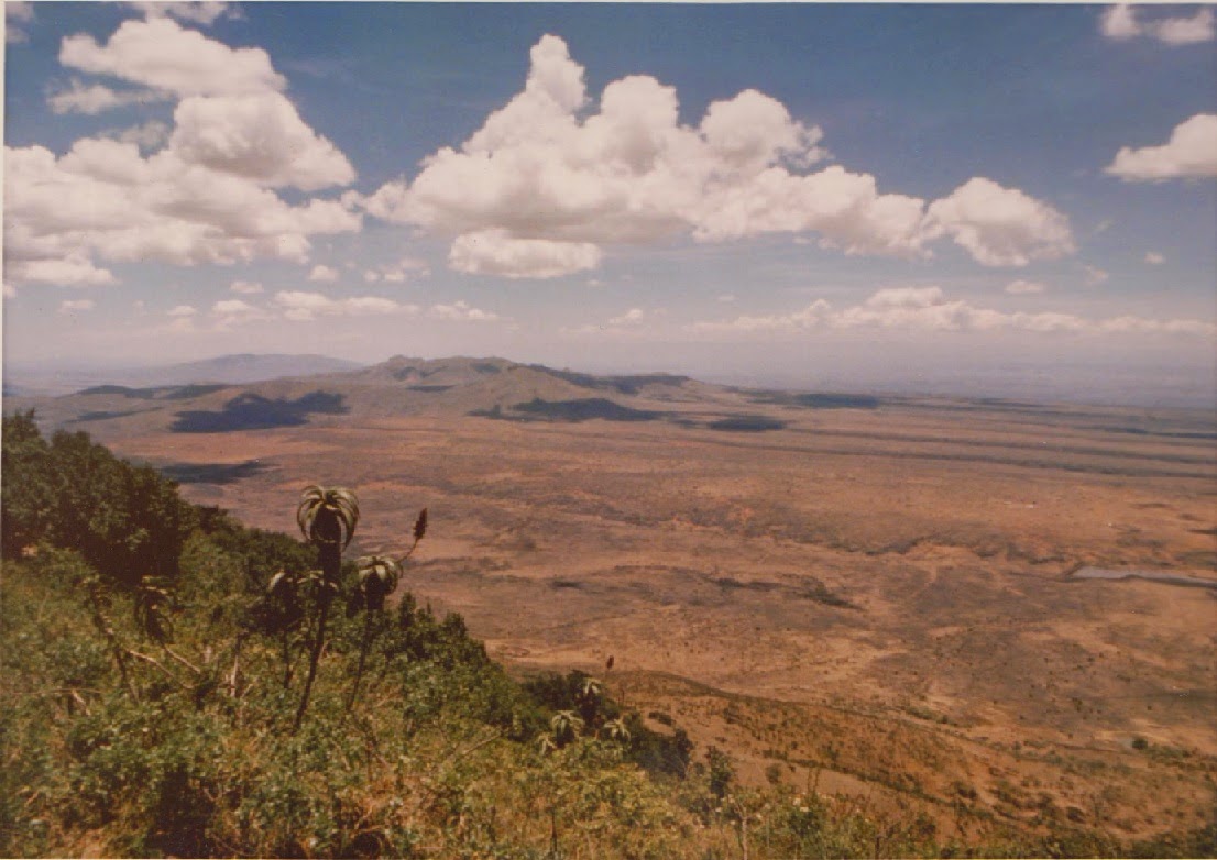 Friends of the Earth Australia History: Founding Friends of the Earth ...