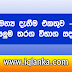සාමාන්‍ය දැනිම එකතුව 3 - General Knowledge Questions and Answers