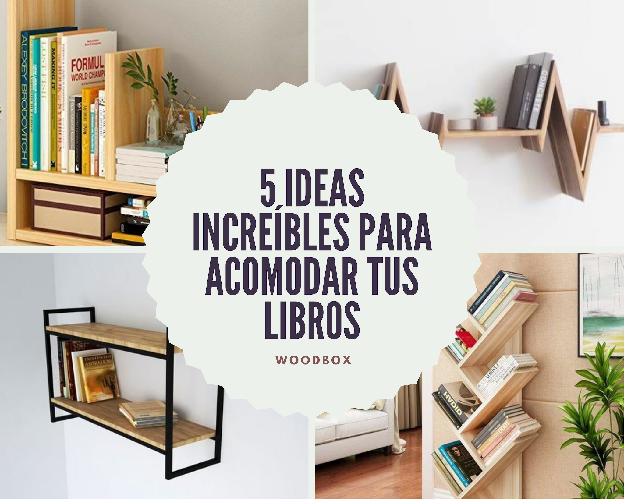 5 ideas increíbles para acomodar tus libros. - woodBOX
