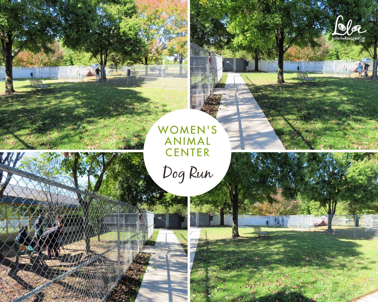 Women's Animal Center - America's First Animal Shelter! | Lola The ...