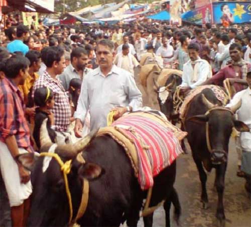 Payyavoor Shiva Temple Festival - Payyavoor Oottu Utsavam - History ...