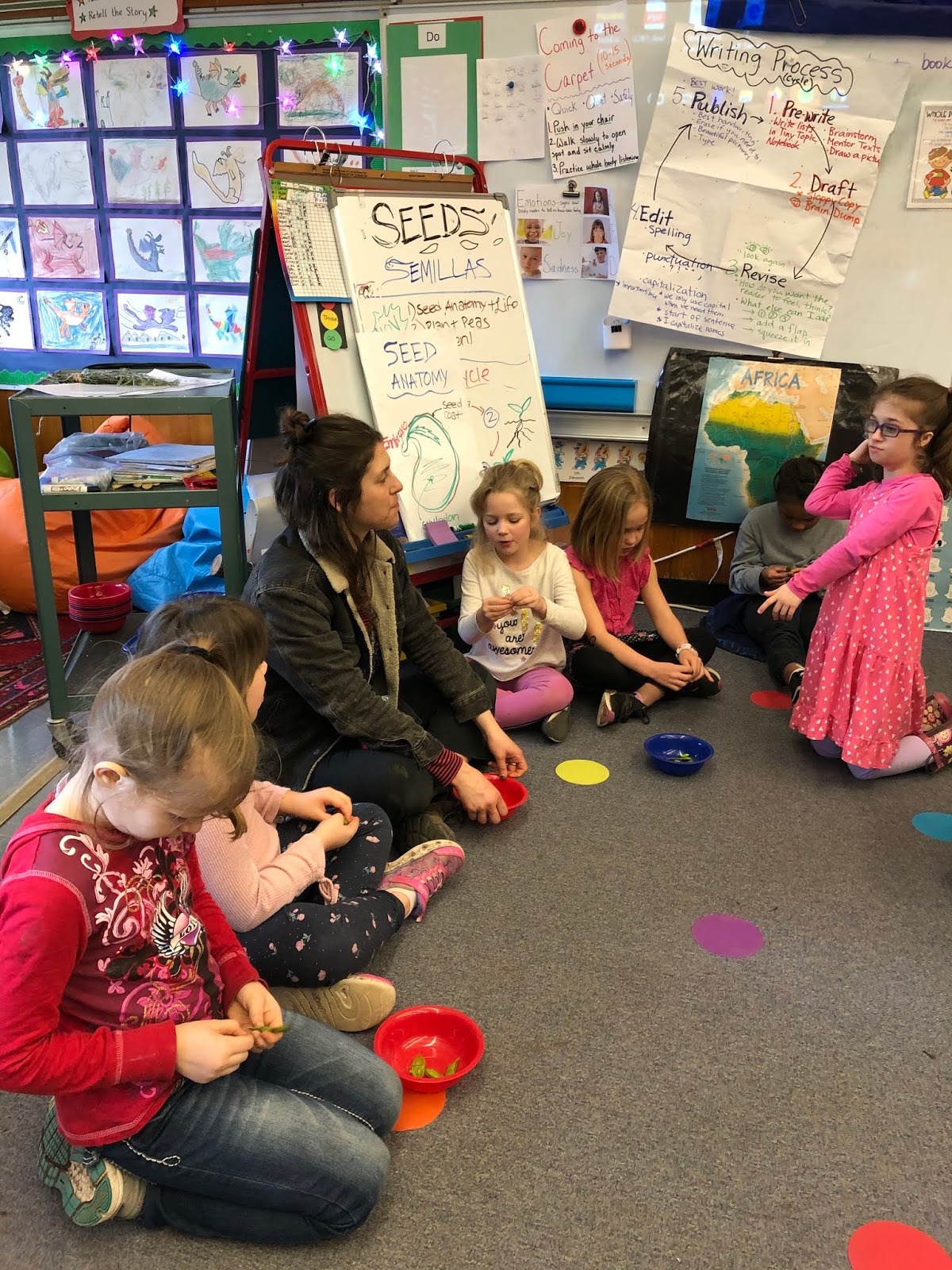 2nd Grade Connection