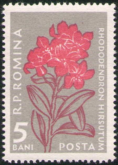 Timbre filatelice: Timbre filatelice cu flori din muntii Carpati