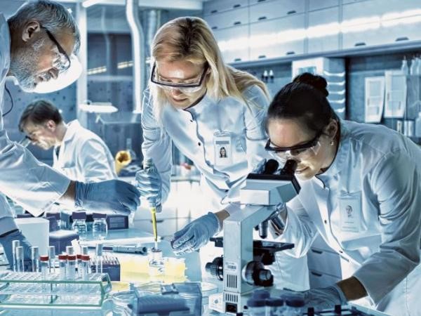 Ciencias Sociales Jt Juan B Pallares Saldaña Grado 10 GuÍa 1