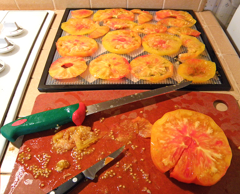 Seasonal Eating: Dehydrator Dried Tomatoes