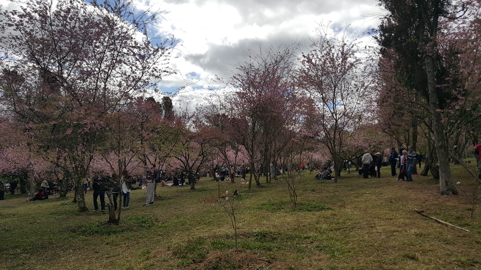 Parques de São Paulo: Parque do Carmo