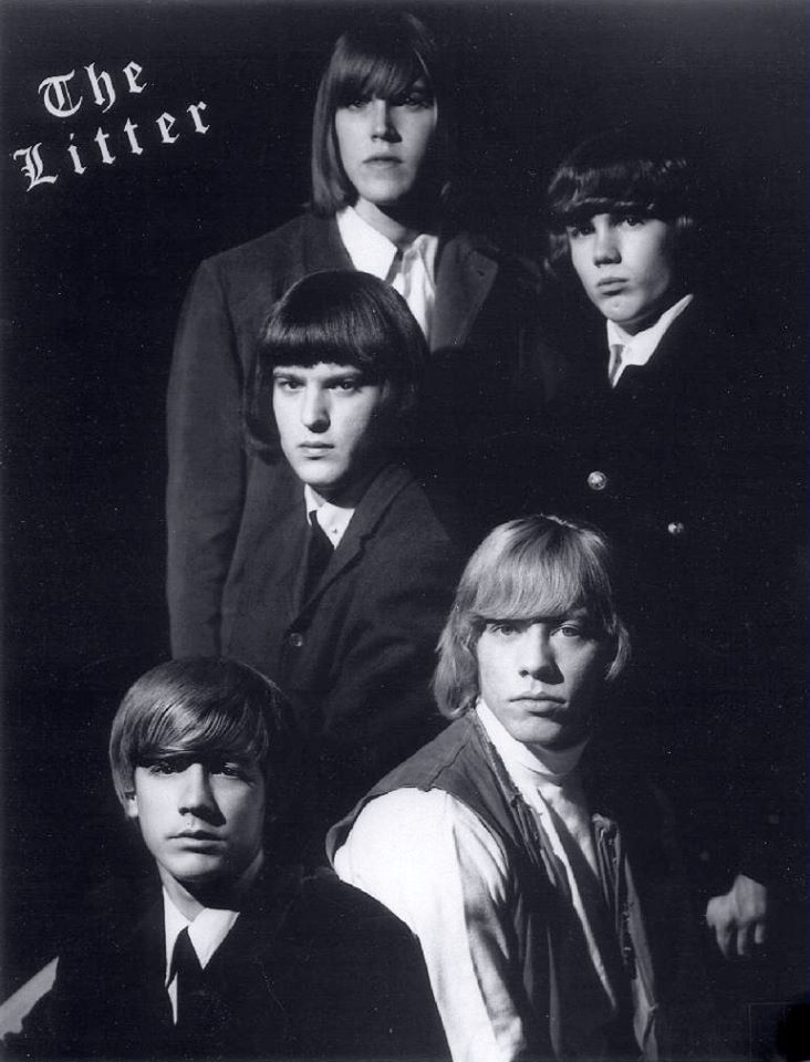 A FADED PICTURE : THE LITTER