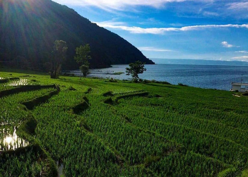 Meat Balige dan Pantai Pakkodian, Wisata di Tampahan Ekstra Instagenik ...