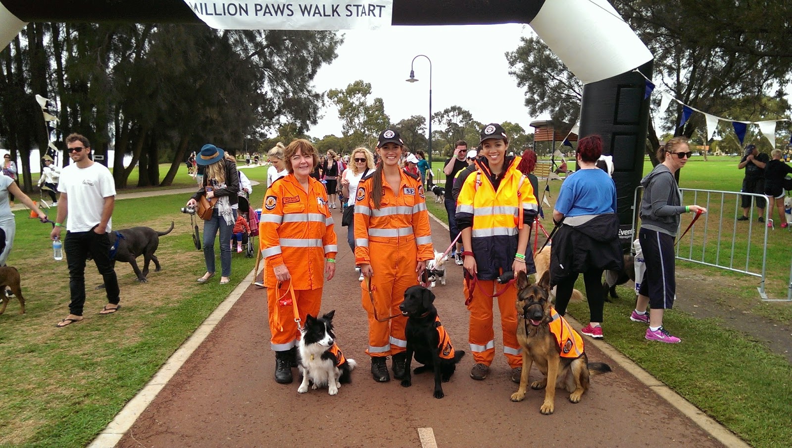 Search and Rescue Dogs Western Australian SES: RSPCA Million Paws Walk 2014