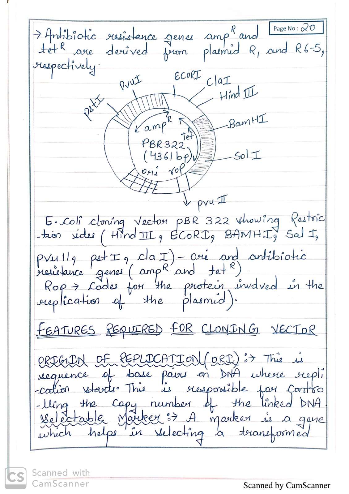 Biotechnology Principles and Process Handwritten Notes for 12th Biology