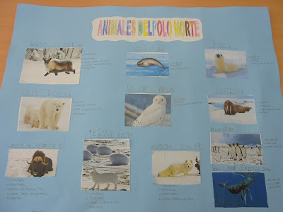 ABRACADABRA: MINIPROYECTO: "ANIMALES DEL POLO NORTE"