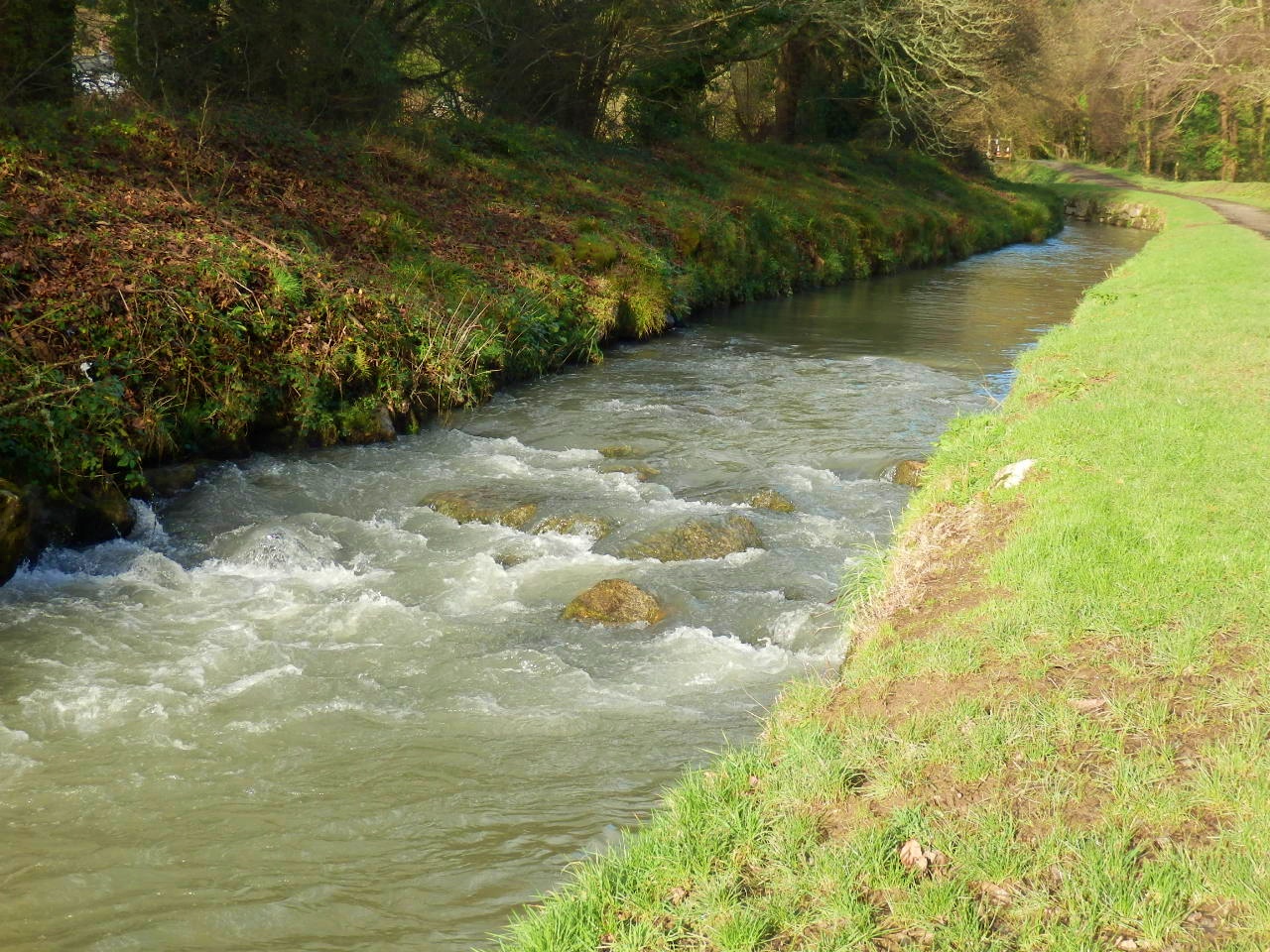 Mike's Cornwall: Walking at Pentewan, Cornwall: River, Woods and Trees