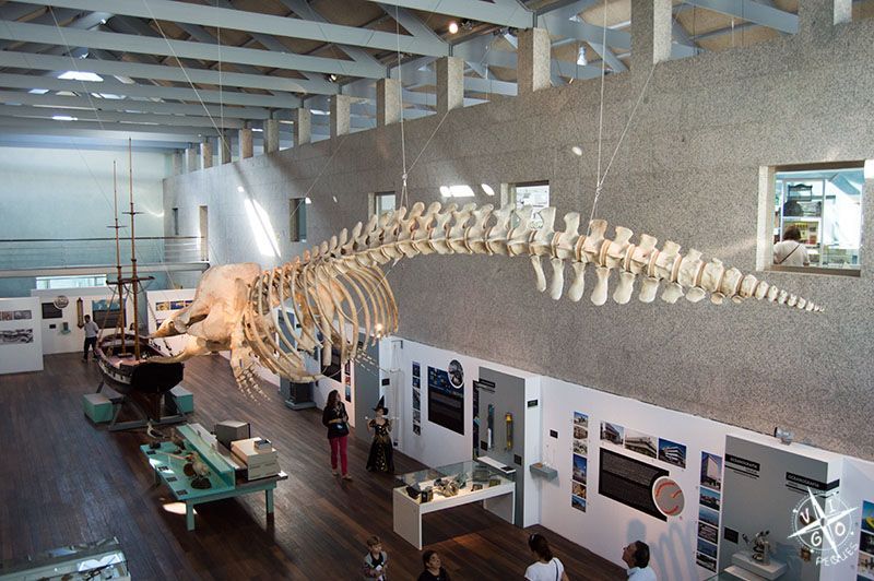 O CURRUNCHO DO SEGUNDO CICLO: MUSEO DO MAR