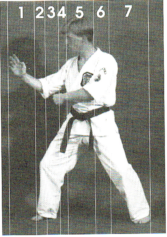 Dimensional Zones in Kenpo Karate – UMAS