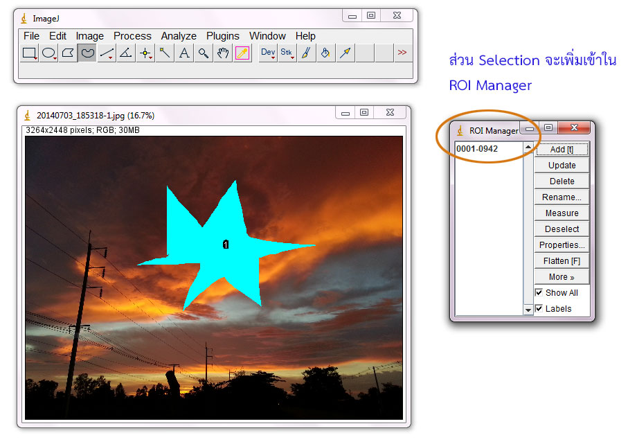 3d Roi Manager Imagej Documentation Wiki